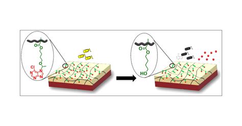 Polymers With Hemiaminal Ether Linkages For Ph Responsive Antibacterial Materials Acs Macro