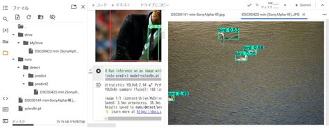 Google Colab での Ultralytics YOLO の使用 LeafWindow