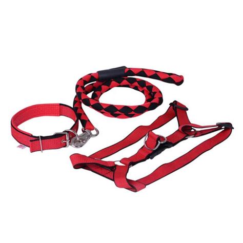 Kit Coleira Peit E Guia Gg Vm Pt