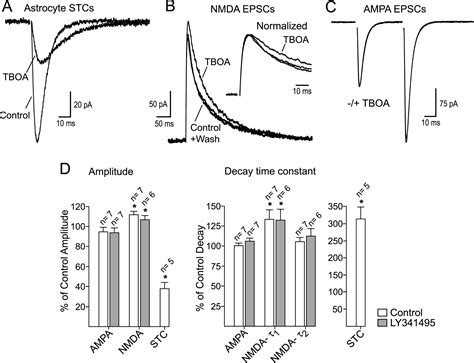 Multivesicular Release At Schaffer Collateralca1 Hippocampal Synapses Journal Of Neuroscience