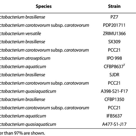 ncbi blast results of the 16s rrna region sequence and amplicons