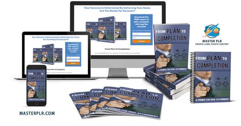 Entrepreneurial Skills Plr From Plan To Completion Report