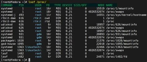 Quick Lsof Command Examples For Linux Geeks