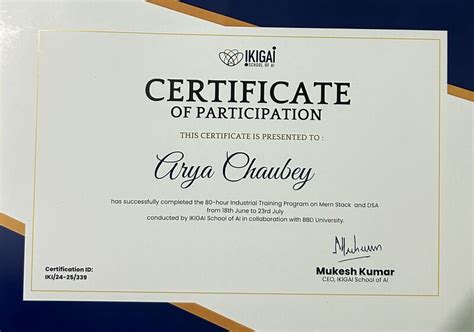 arya chaubey on linkedin mernstack datastructures ikigai