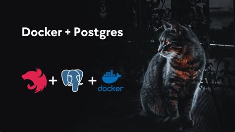 Nestjs Setup Dev Simples Com Docker Postgres Swagger Youtube