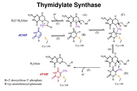 Ppt Department Of Chemistry The University Of Iowa Powerpoint Presentation Id 5127457