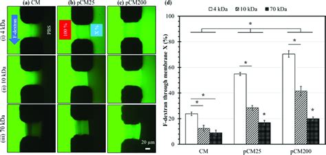Membrane Permeability Characterized With F Dextran Representative Download Scientific Diagram
