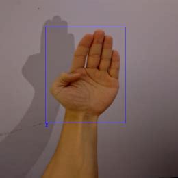 Introduction Applied Deep Learning