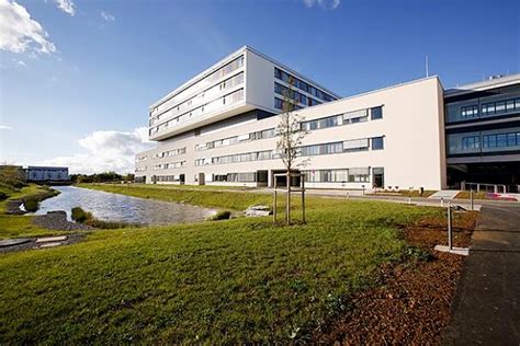 Omega Loop Bypass Focusde