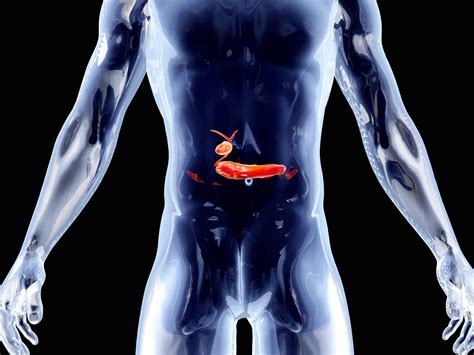 Abenteuer Diagnose Igg4 Assoziierte Cholangitis Iac Ndrde