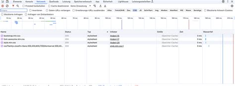 custom css is not loading support hugo