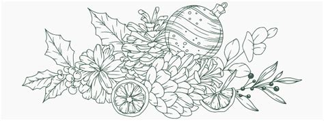 겨울 녹지 포인세티아 홀리 겨우살이 소나무 원뿔과 함께 손으로 그린 크리스마스 식물 세트 겨울 식물 개요 크리스마스 디자인입니다 크리스마스 꽃 디자인입니다 겨울 휴가 장식