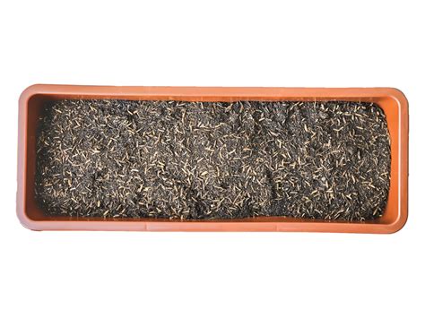 Organic Fertilizer Is Put In A Rectangular Pot For Growing Vegetables