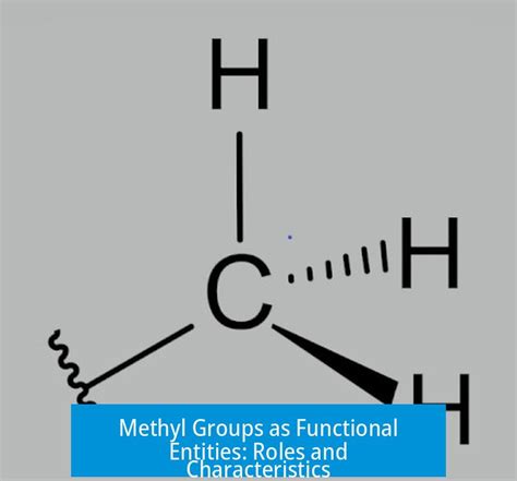 Methyl As A Functional Group Understanding Its Role And Classification