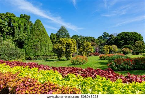 Royal Ceylon Royalty-Free Images, Stock Photos & Pictures | Shutterstock