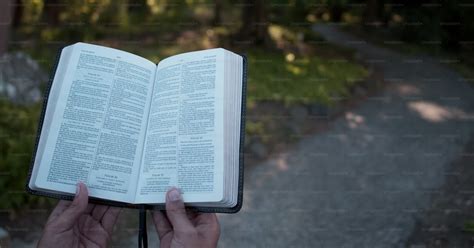 펼쳐진 책을 손에 들고 있는 사람 사진 Unsplash의 구원 이미지