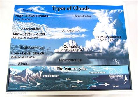 Types Of Clouds Poster