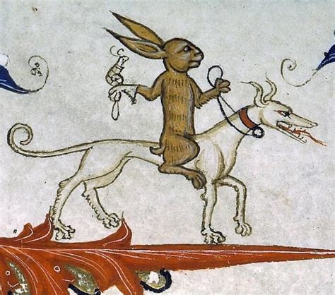 Medieval Animals 27 Bizarre Creatures From Medieval Art
