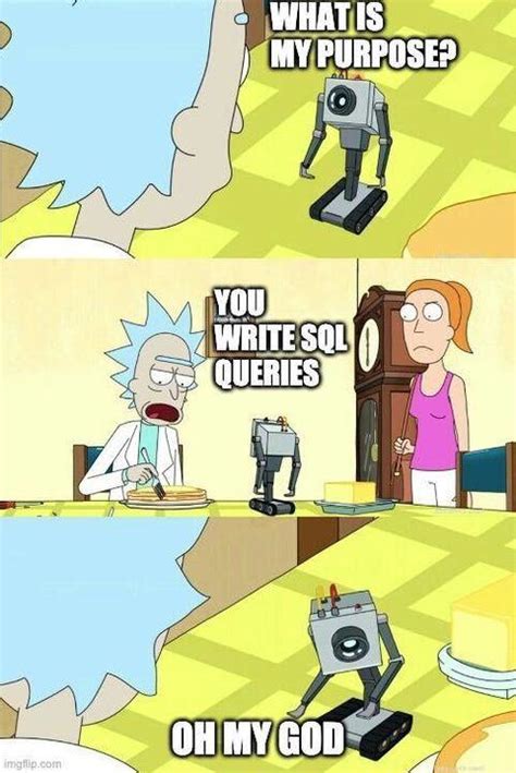 Data “engineering” R Programmerhumor