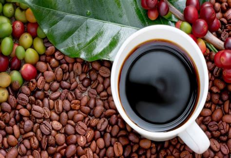 A Beginners Guide To Colombian Coffee What To Know Before You Sip