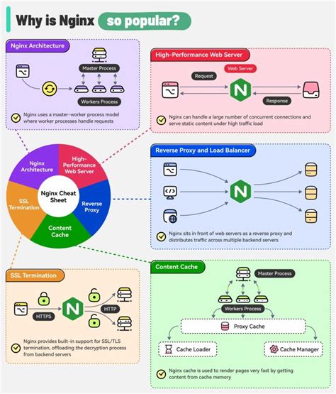 nginx webserver devtools performance webdevelopment reverseproxy