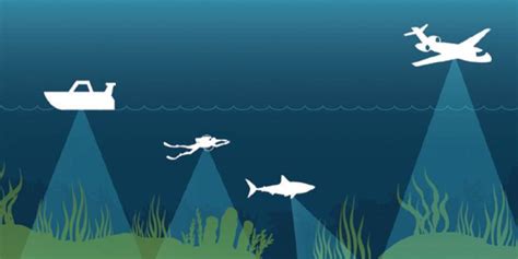 Protecting Blue Carbon Ecosystems