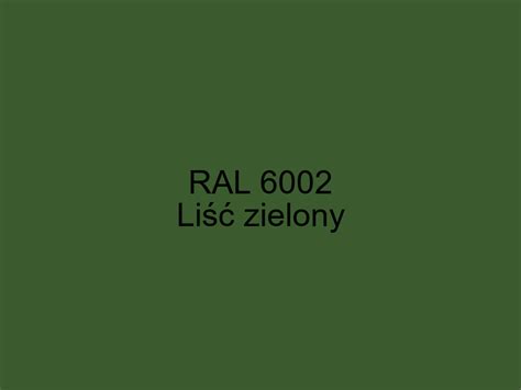 Ral 6002 Liść Zielony Leaf Green Ral Classic Paleta Kolorow Ral