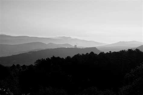 경치 경치가 좋은 고요한 공중 광야 그림자 깊이 나무 높이 대기의 대조 땅 롤링 힐스 매혹적인 명상적인 박무 뷰포인트 블랙 앤 화이트 빛과