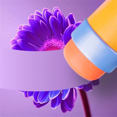 Remove Objects And Background By Dmitry Bondarets