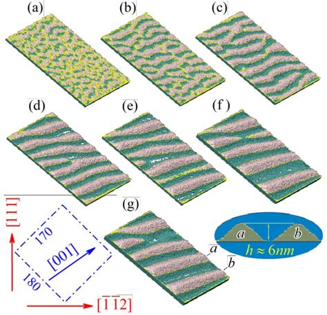 Surface Dynamics On The 110 Face Of Silicon Under Stimulation Of