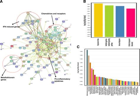 Predicted Interaction Networks Of Genes Significantly Dysregulated In