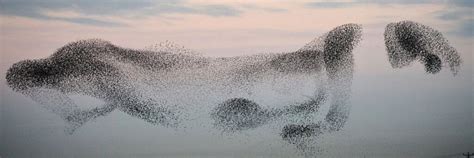 Hour Of Code Programming With Karel By Codehs Medium