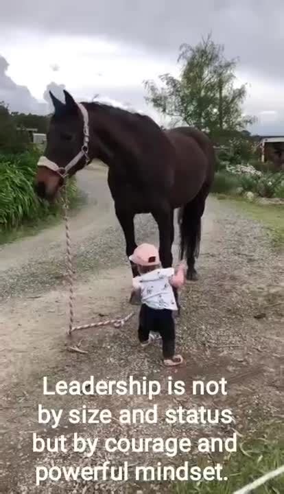 Kalu David On Linkedin Leadership Is Fundamental