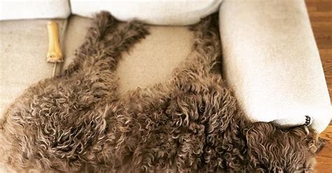 Danger Napping Meme On Imgur