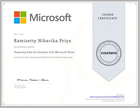 Dataanalysis Microsoftexcel Certification Professionalgrowth Coursera Niharika Priya