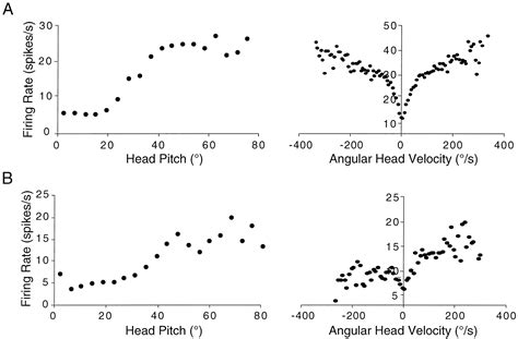 Neural Correlates For Angular Head Velocity In The Rat Dorsal Tegmental Nucleus Journal Of