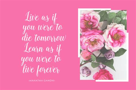 Ballerina Script Font 1001 Fonts