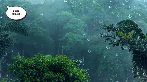 불면증 빗소리asmr백색소음스트레스해소 Youtube