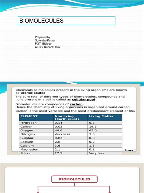 Biomolecules Ppt Pdf