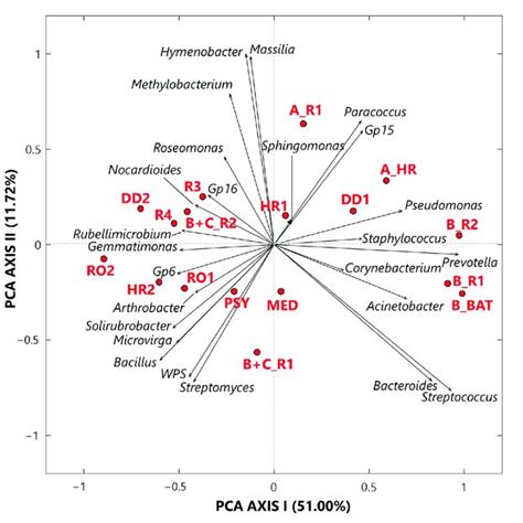 two dimensional principal component analysis biplot made via a singular
