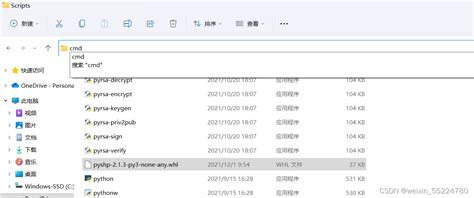 Pip离线安装python第三方库（whl文件）pip离线安装whl Csdn博客
