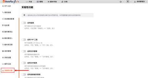 实验性功能 DataFlux Func