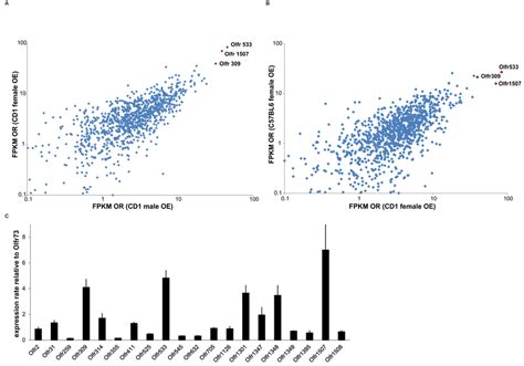 Correlations Of Expression Levels Plotted For Each Detected OR Gene A Download Scientific