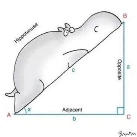 Pythagorean Theorem Triples 8th Grade Quiz Quizizz