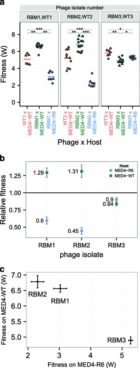 Fitness Of Resistance Breaking Mutants Rbms And Wild Type Wt P Ssp7