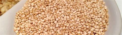 28 Super Foods That Make Your Buttocks Bigger Fast Gains Femniqe