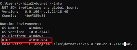Run Dotnet Info On Win11the Rid Shown Win10 X64 · Issue 58125