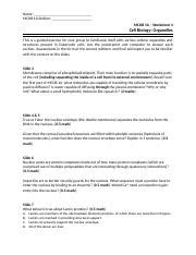MCDB 1A Worksheet 4 Organelles Docx Name MCDB 1A Section MCDB 1A Worksheet 4 Cell