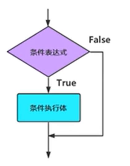 Python学习分支结构ifelse 机智的老猫咪 博客园