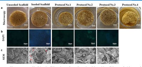 Figure 1 From Fabrication Of Decellularized Engineered Extracellular